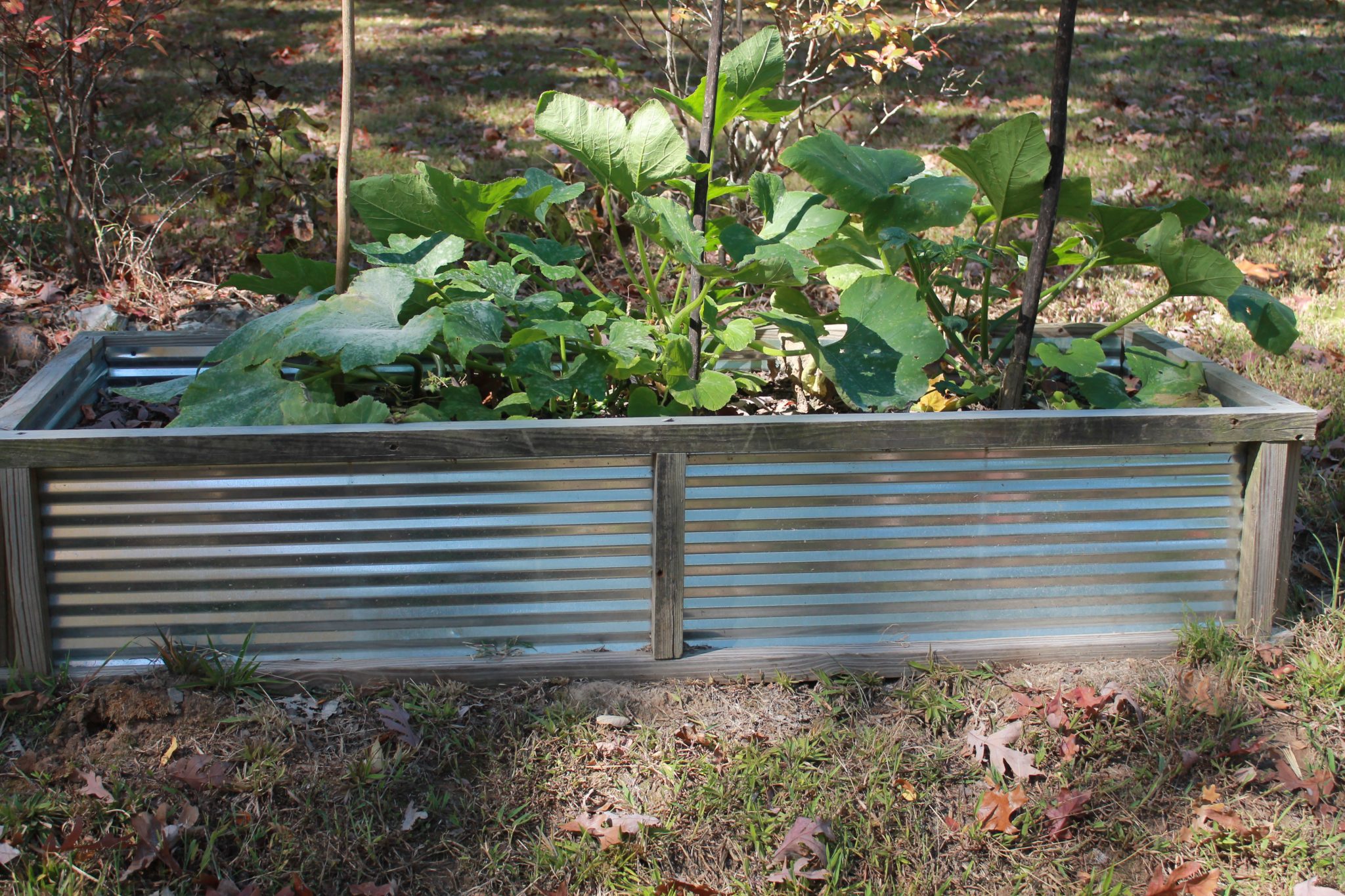 Homestead Projects You Can DIY In a Weekend - Countryside
